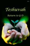 Day 9 of 40 Days of Teshuvah – Through All Seasons