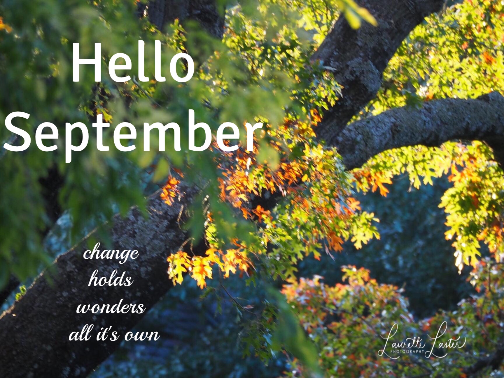 Hello September – Through All Seasons